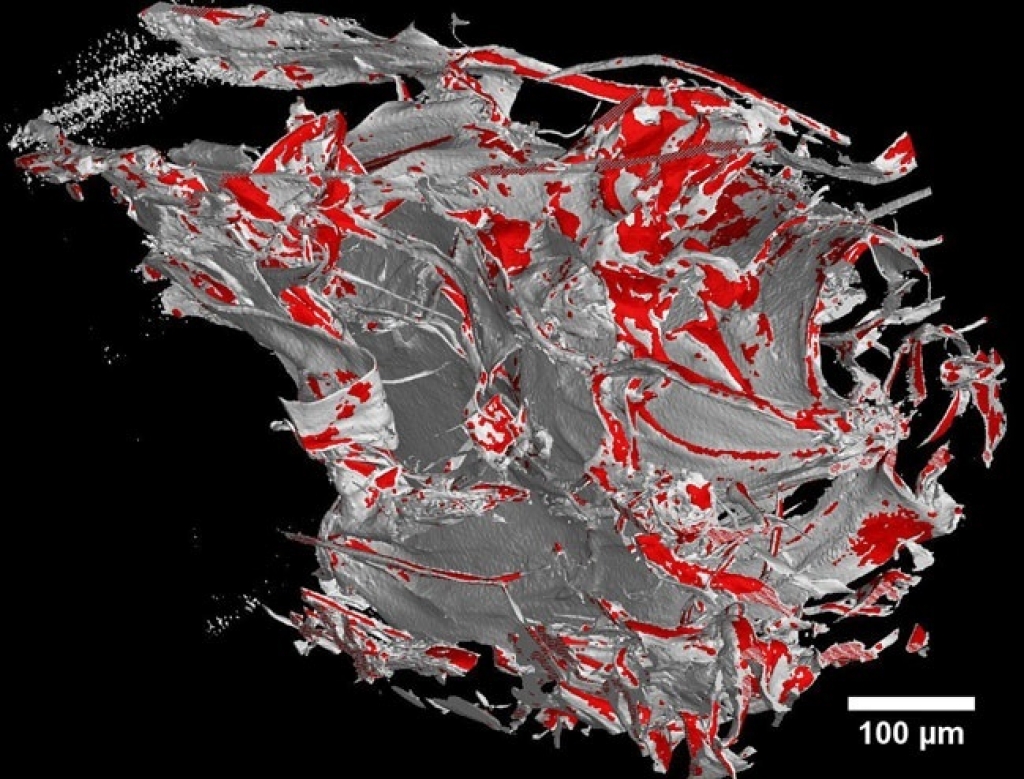 Tomografické měření The 3D imaging of cell using Rigaku Nano3DX - Ceitec.cz