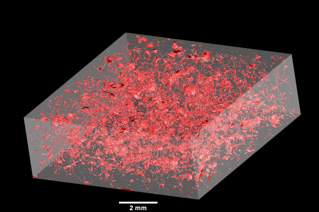 Tomografické měření New publication: CT based procedure for reproducible porosity measurement ...